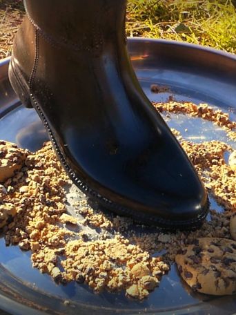 Rita Rittberger - Reitherrin aus Wien